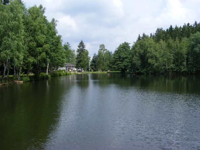 Waldsee - Ortsgemeinde Argenthal